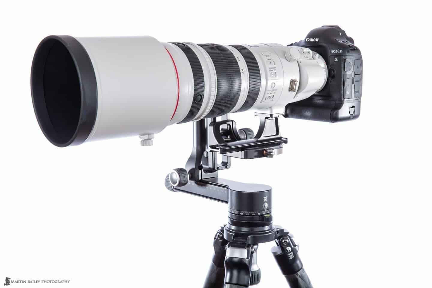 Canon EF 200-400mm F4 L EXT 1.4X Lens Review (Podcast 414) • Martin ...