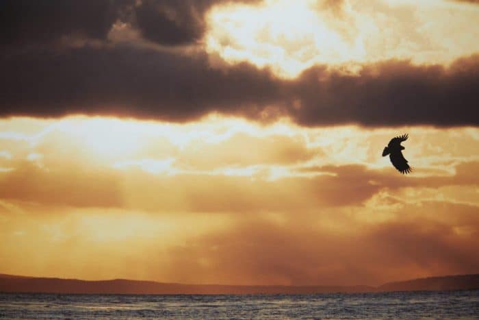 Canon imagePROGRAF PRO-4000 Printer Review (Podcast 536) | Martin ...