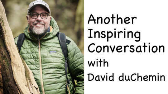 Martin Bailey Photography | Home of Tokyo based nature and wildlife ...